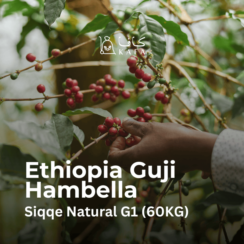 Ethiopia - Guji Hambella Siqqe Natural G1 (60KG) - E240112